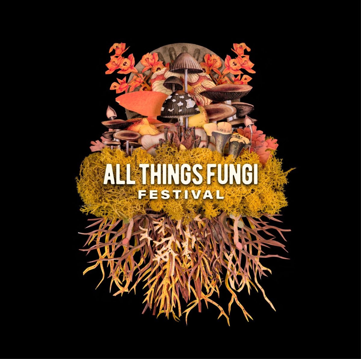 All Things Fungi Festival, 13th – 15 September 2024 - FEAST Online ...